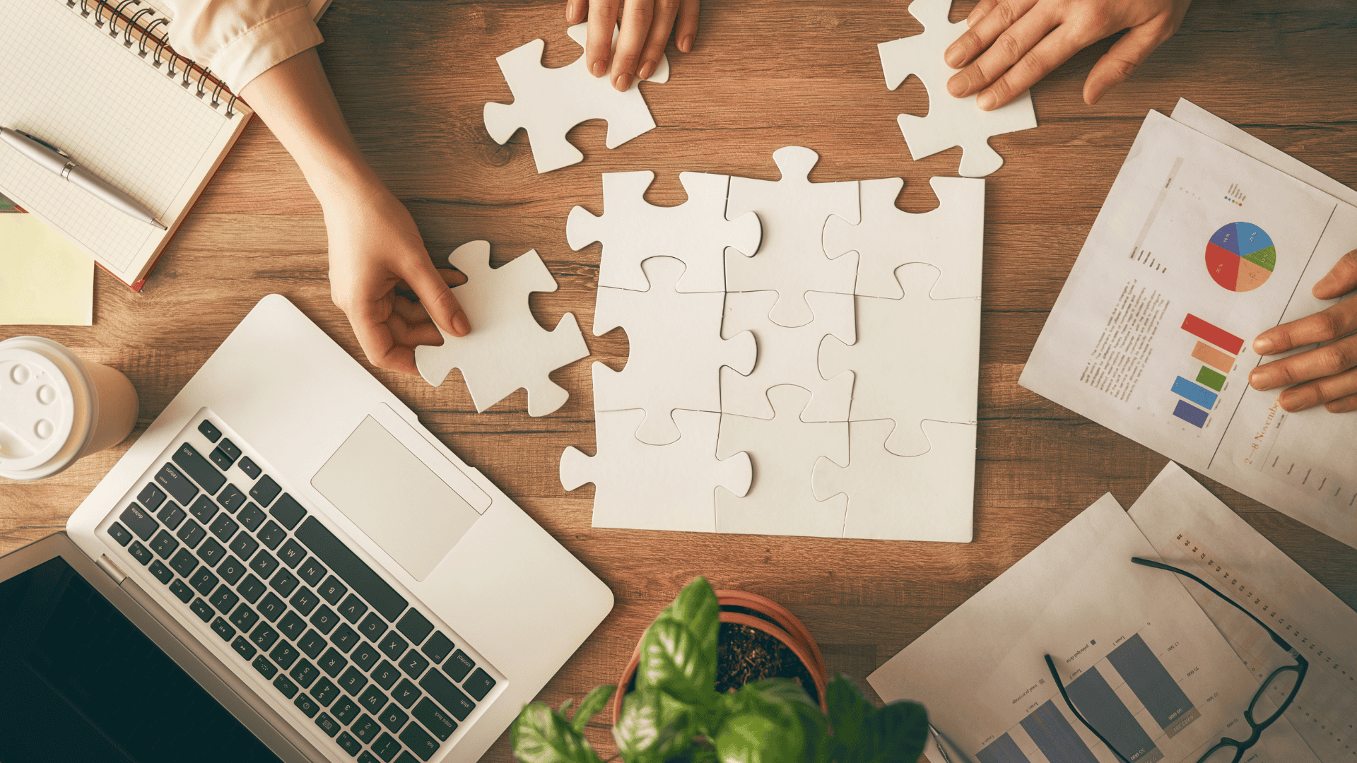 Merchandising Strategy - PushAgency